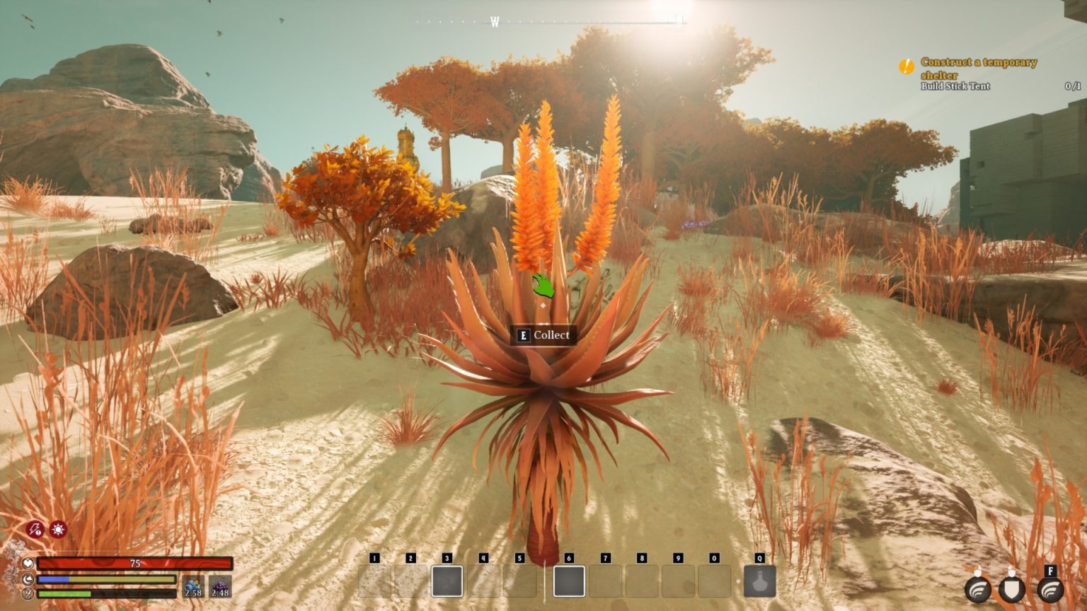 Nightingale: Where to Find Plant Fiber in the Desert - Insider Gaming