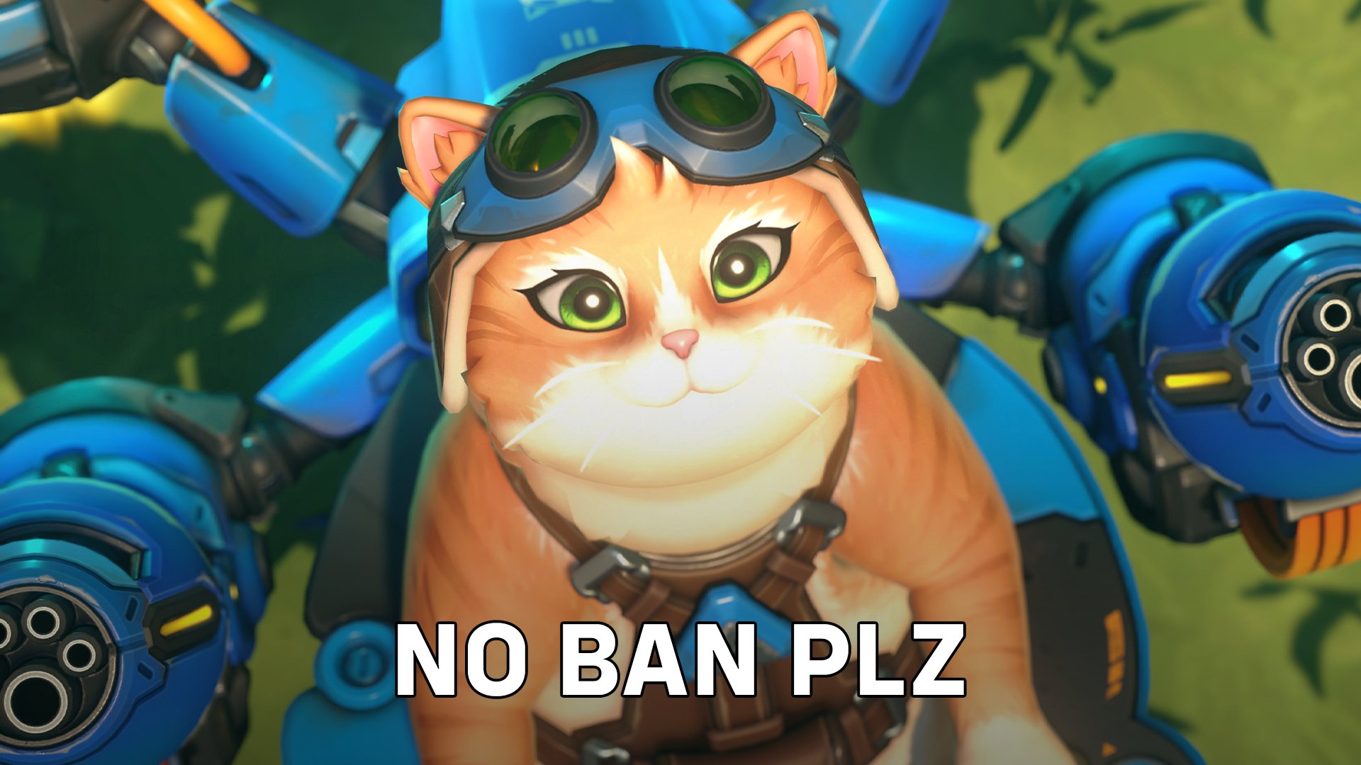 Blizzard Doesn't Want You To Ban Jetpack Cat in Overwatch - Insider Gaming