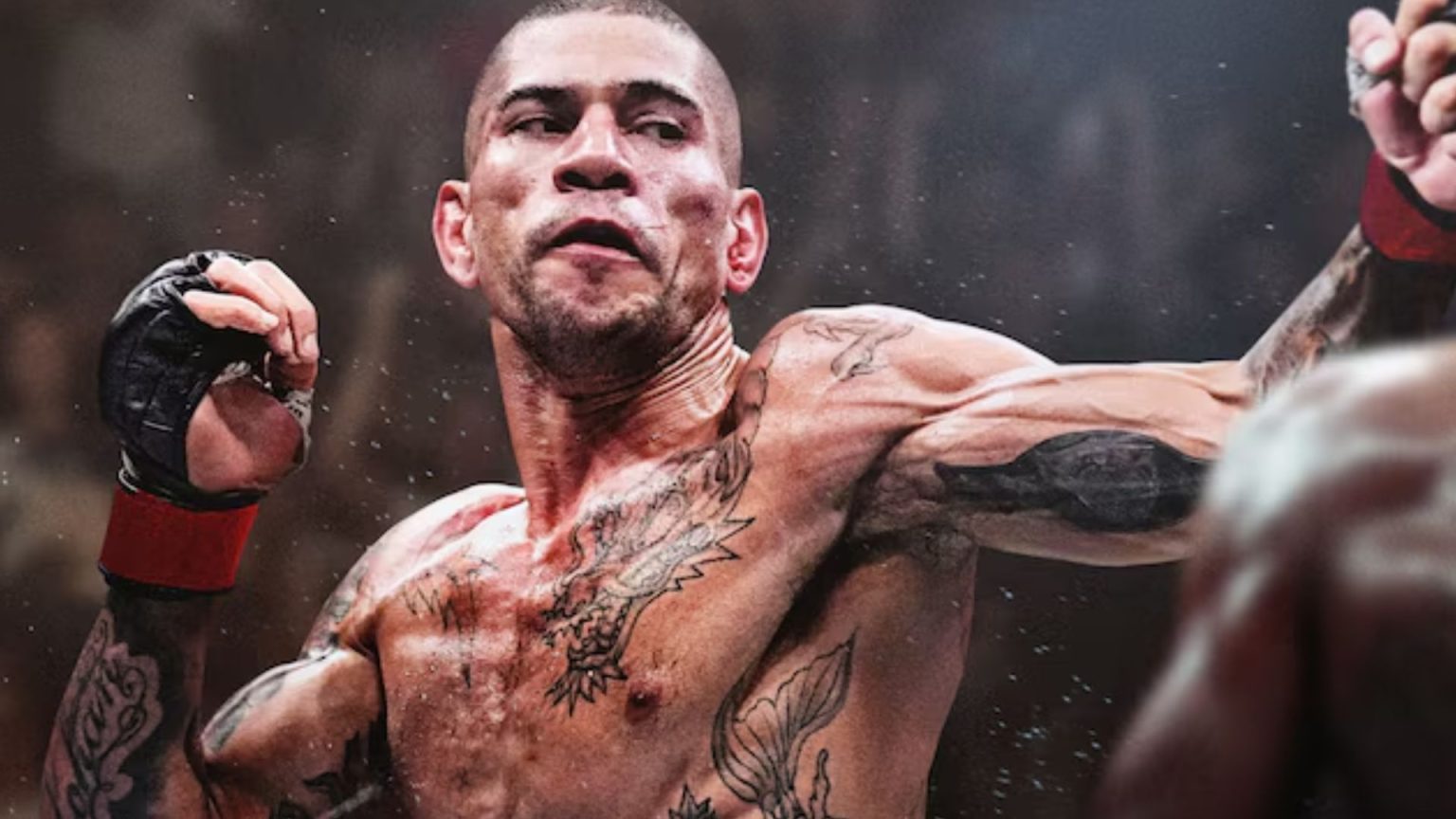 UFC 6 Release Date & All Platforms, Explained - Insider Gaming
