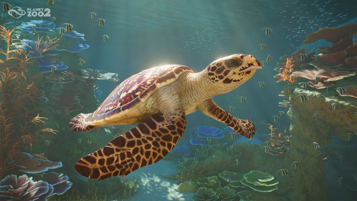 Planet Zoo 2 Adds Birds, Aquatic Animals & Announces Release Date ...