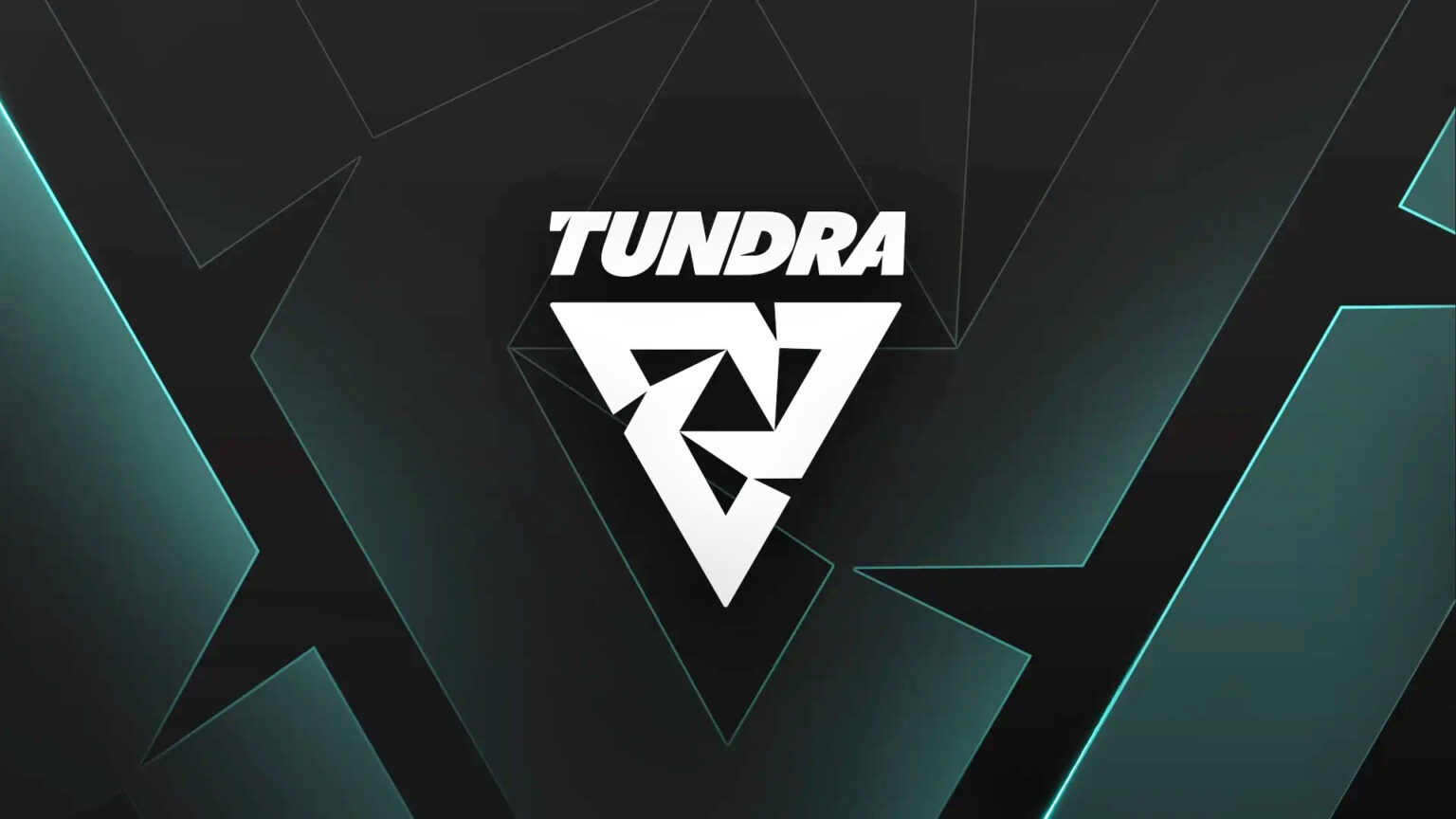 1win Acquires Tundra Esports Dota 2 Roster - Insider Gaming